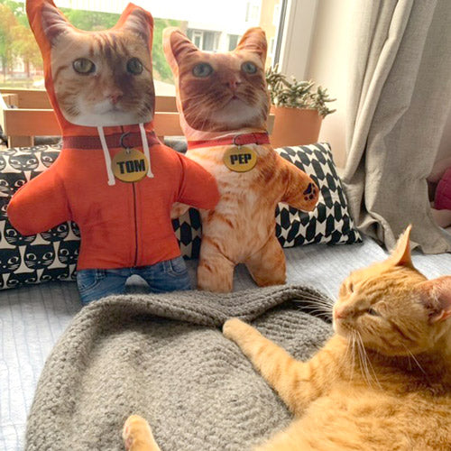Ginger Cat - Personalised Mini Me Doll | Free UK Shipping – https ...