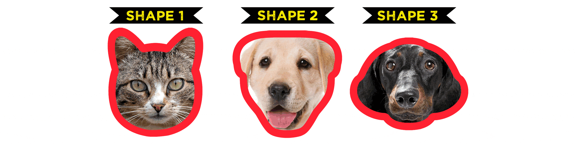 Ginger Cat - Personalised Mini Me Doll | Free UK Shipping – https ...