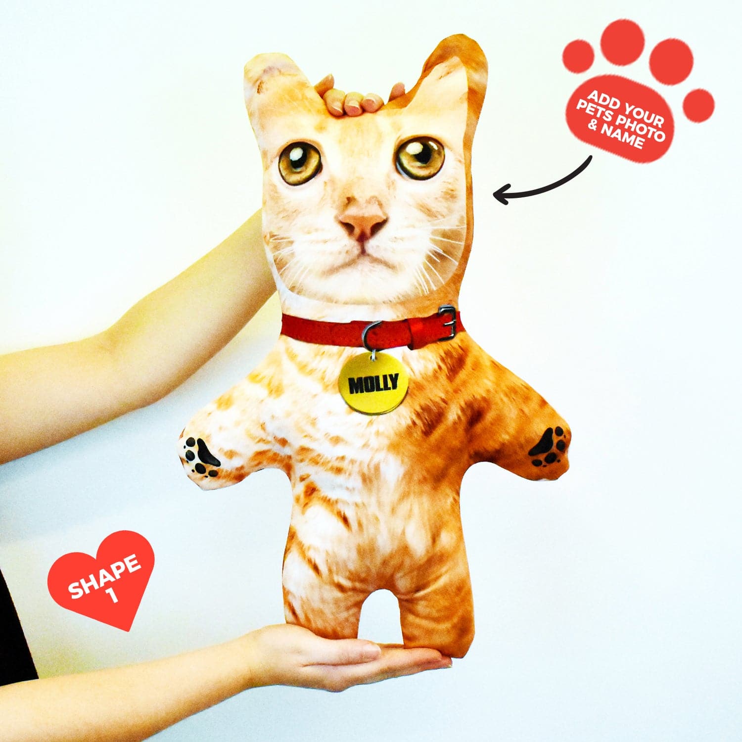 Ginger Cat Fur - Personalised Pet Mini Me – https://britishmade.gifts/